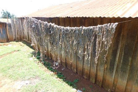 Green Nettle Textiles | The Circular Catalyst